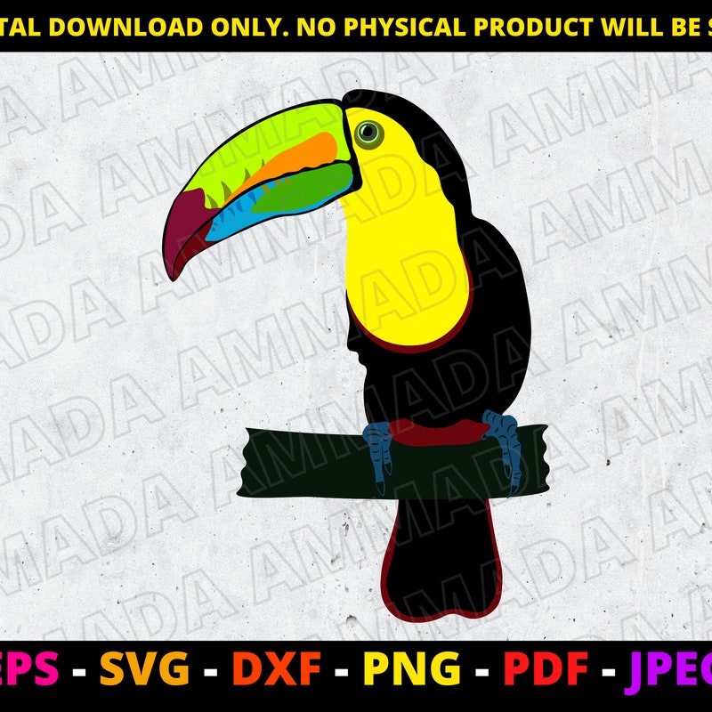 Toucan Svg - Etsy