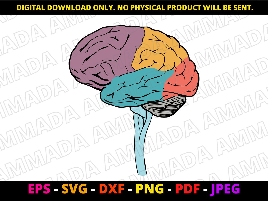Brain SVG, Vintage Brain Design, Instant Download, Printable Image - Etsy