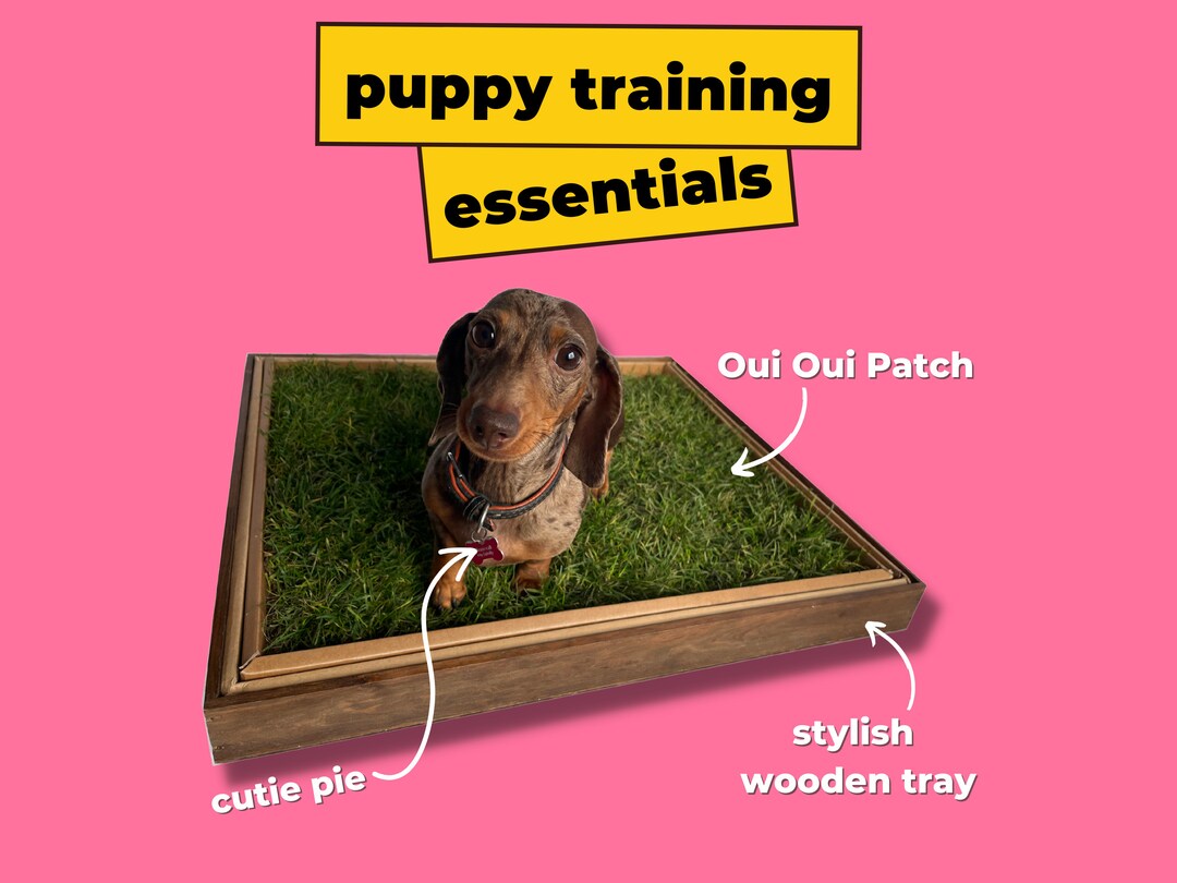 Puppy Starter Pack Potty Train Your Pup in Days Real Grass Patch ...