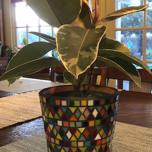 Pattern Rainbow Planter - Etsy