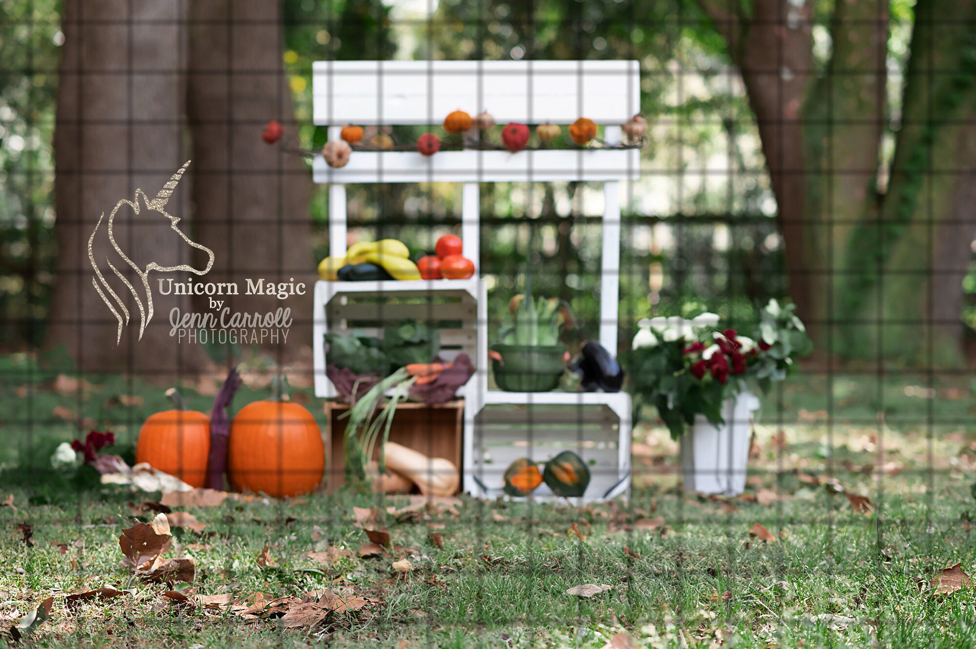 3 Pumpkin Produce Stand Fall Autumn Digital Background Backdrop - Etsy