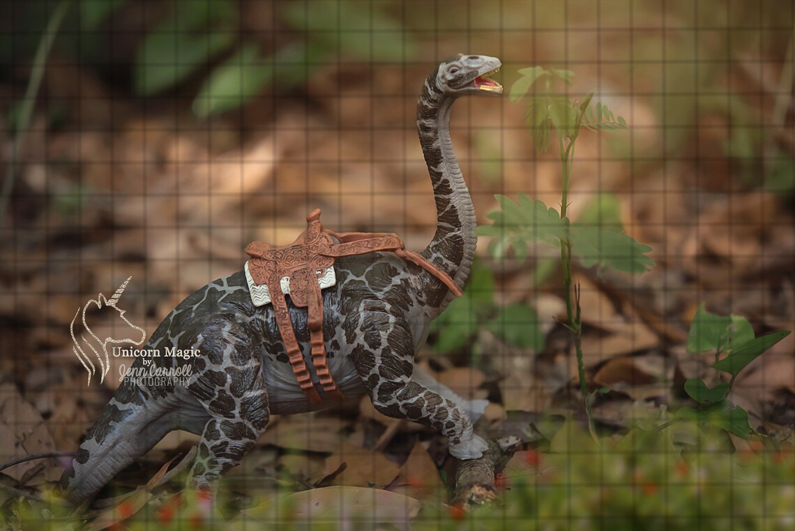 Dinosaur Riding Brontosaurus Digital Backdrop Background Photoshop PS ...