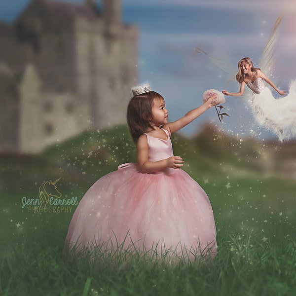 Princess Photoshop Overlay - Etsy