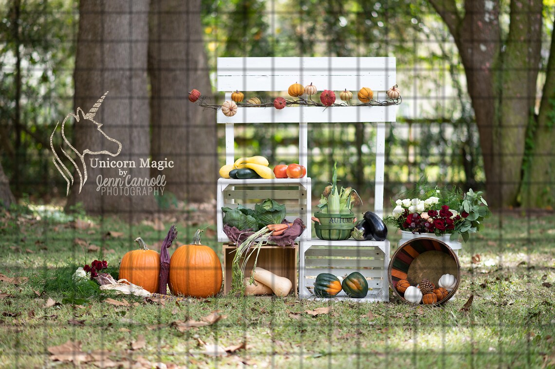 3 Pumpkin Produce Stand Fall Autumn Digital Background Backdrop - Etsy