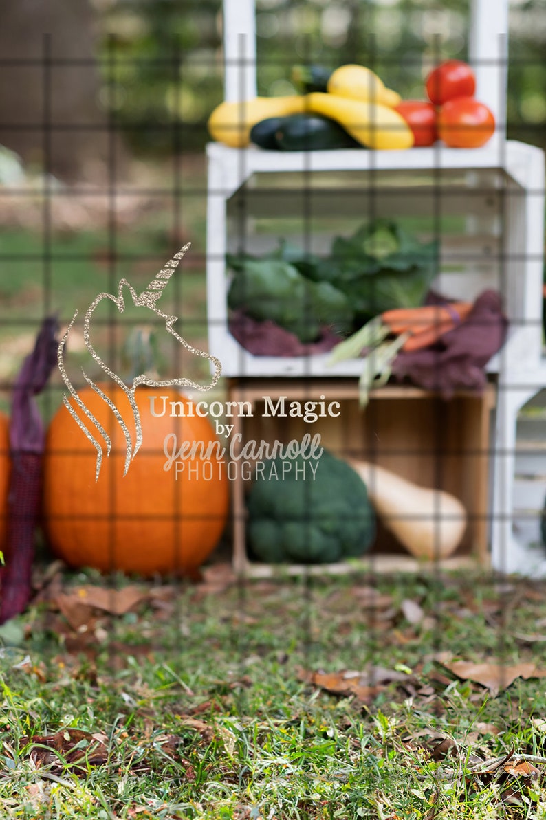 3 Pumpkin Produce Stand Fall Autumn Digital Background Backdrop - Etsy