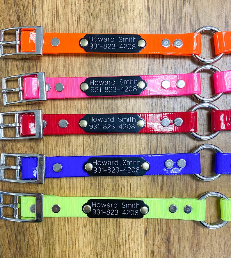 Customized Dayglo Reflective Hunting Dog Collar: Waterproof With O-ring ...