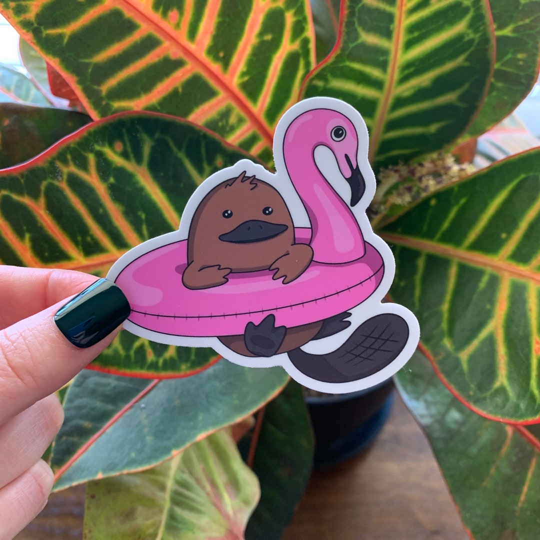 Platypus Pool Party Vinyl Sticker - Etsy Australia