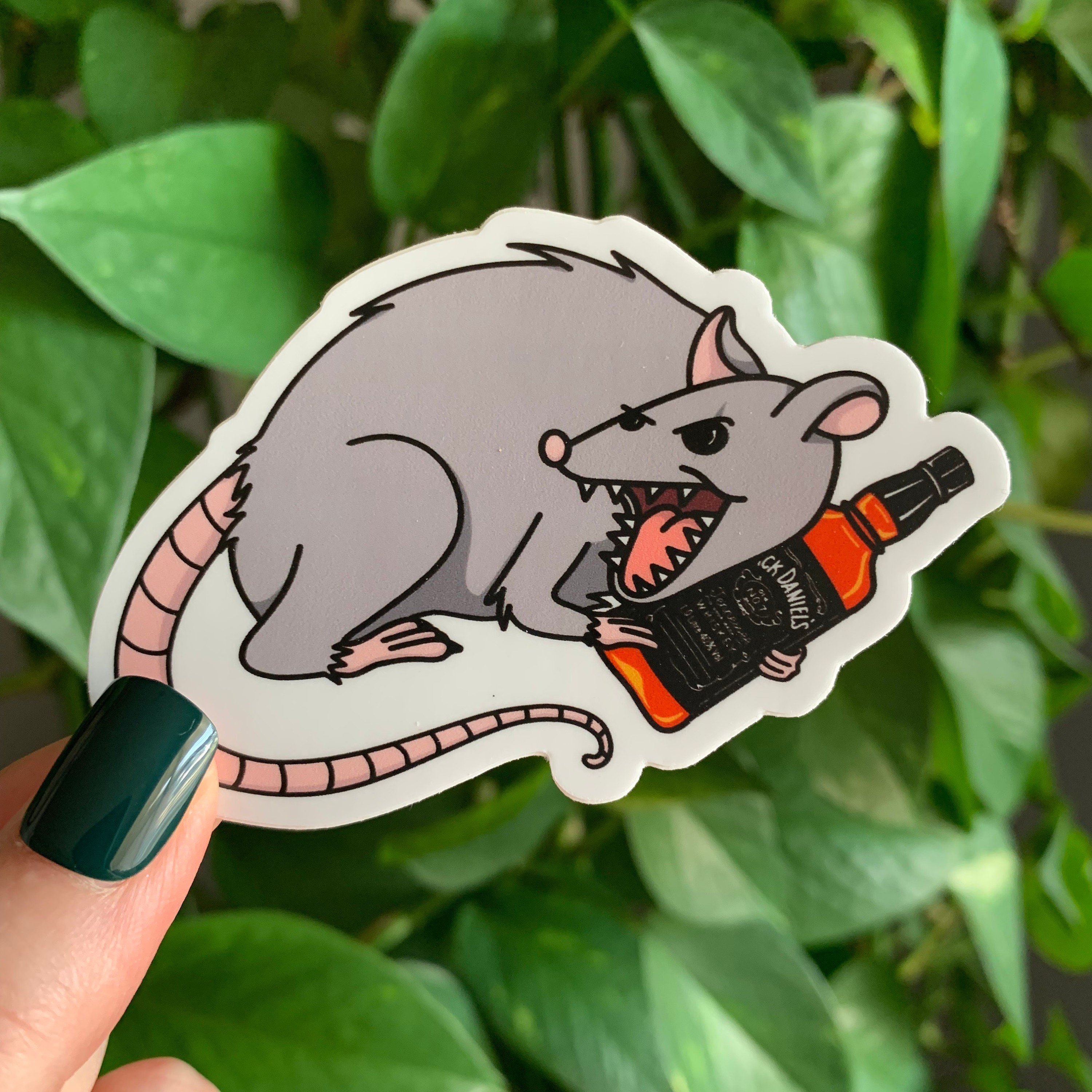 Angry Alcoholic Rat Guarding Its Whiskey and Baring Its Teeth Viciously ...