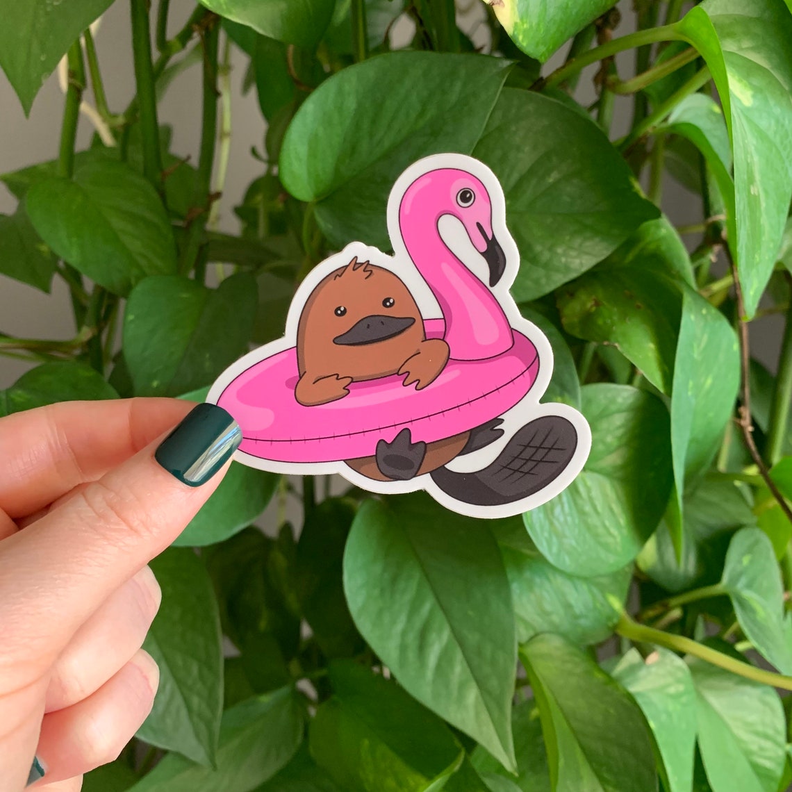 Platypus Pool Party Vinyl Sticker - Etsy