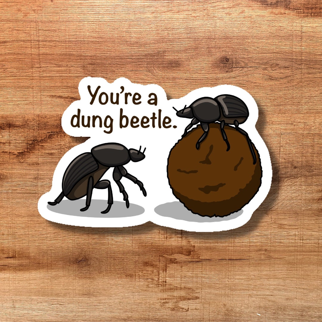 Youre a Dung Beetle, Dung Beetles on Poop Making Fun of Each Other and ...