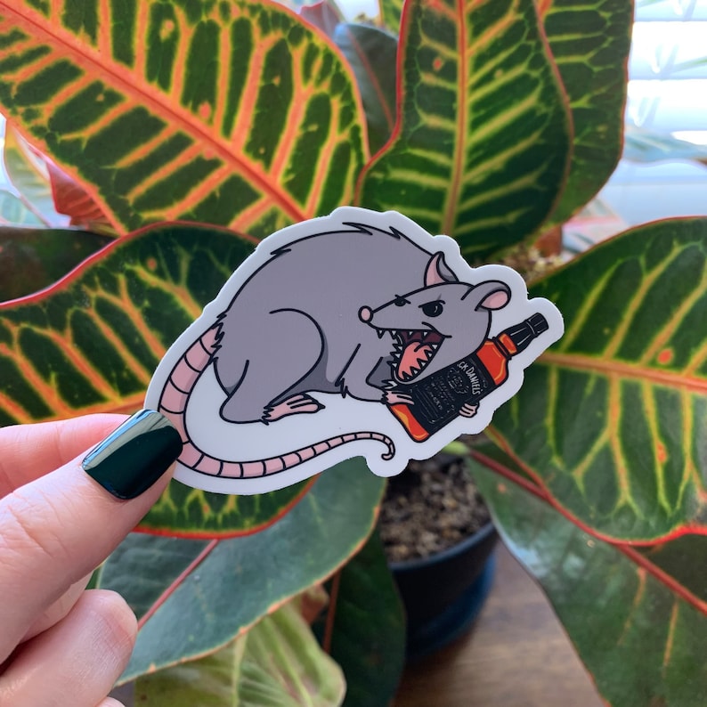 Angry Alcoholic Rat Guarding Its Whiskey and Baring Its Teeth Viciously ...