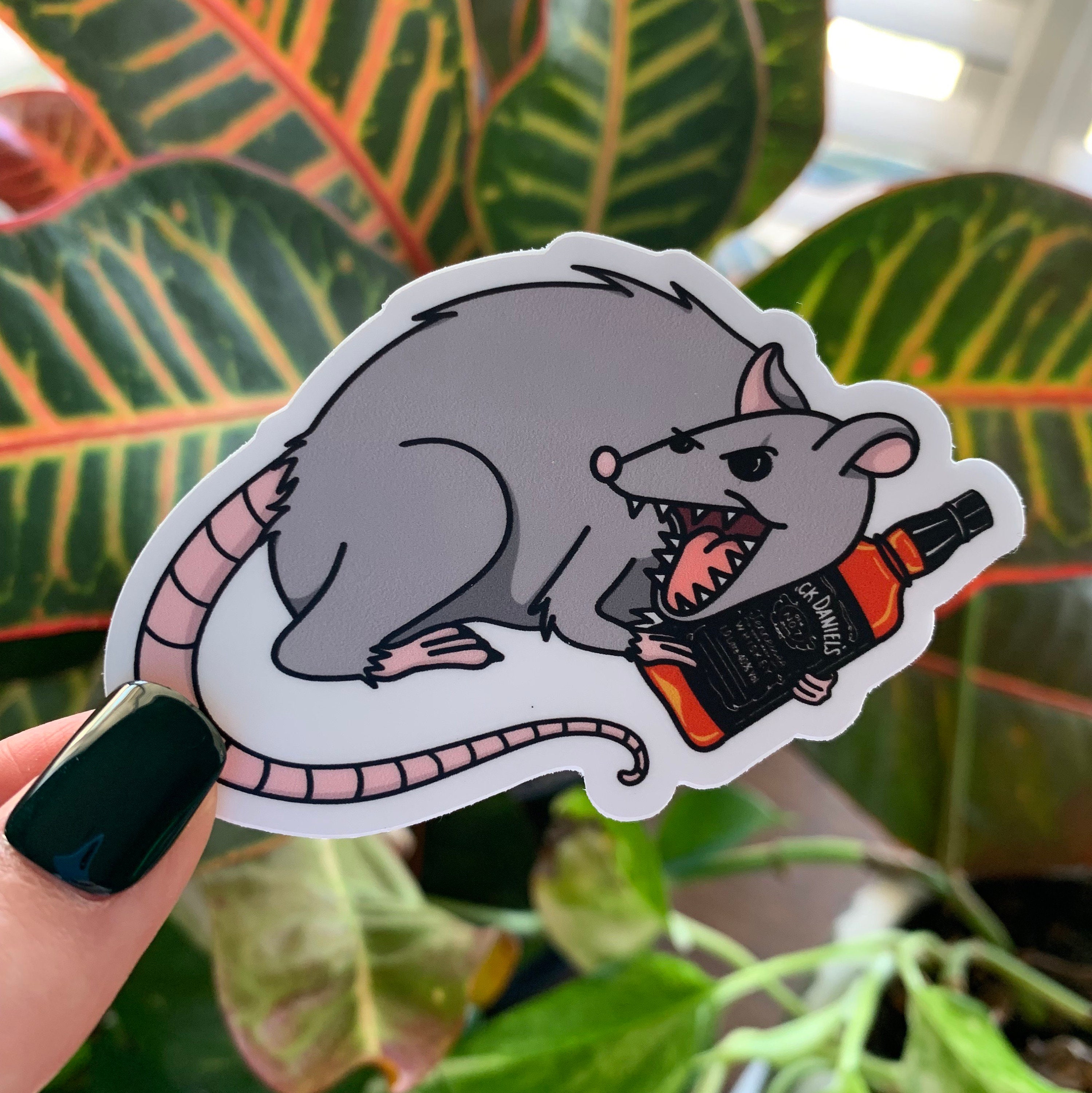 Angry Alcoholic Rat Guarding Its Whiskey and Baring Its Teeth Viciously ...