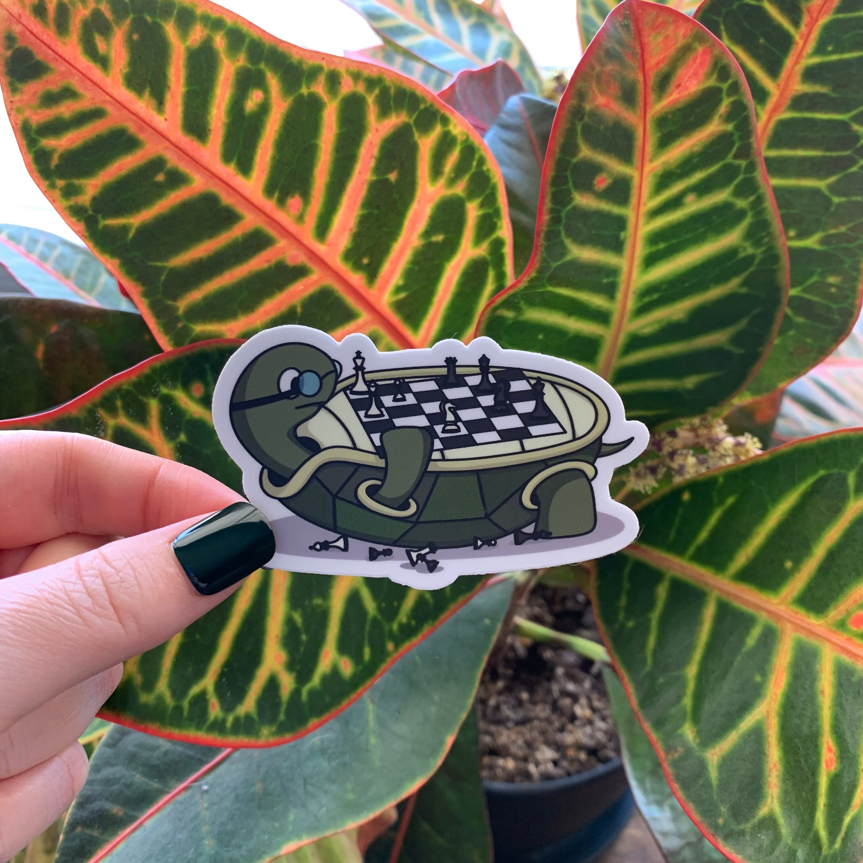 Old Man Turtle Playing Chess on His Chest Vinyl Sticker - Etsy