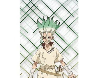 Dr Stone Keychain - Etsy