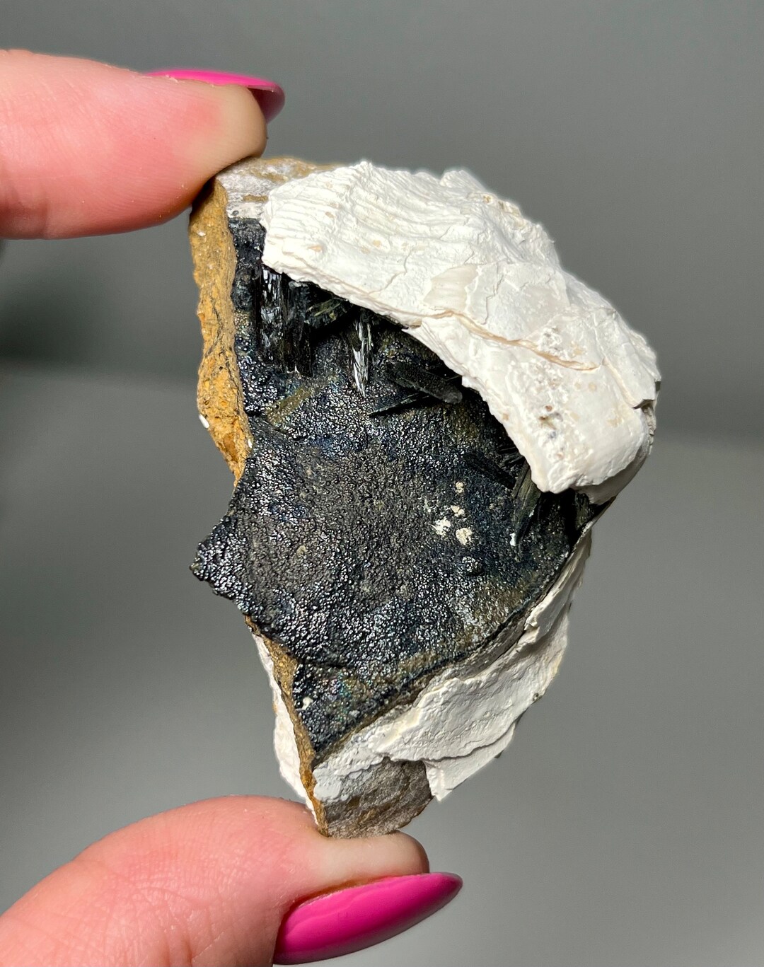 Fossil Shell With Vivianite Crystals From Ukraine - Etsy