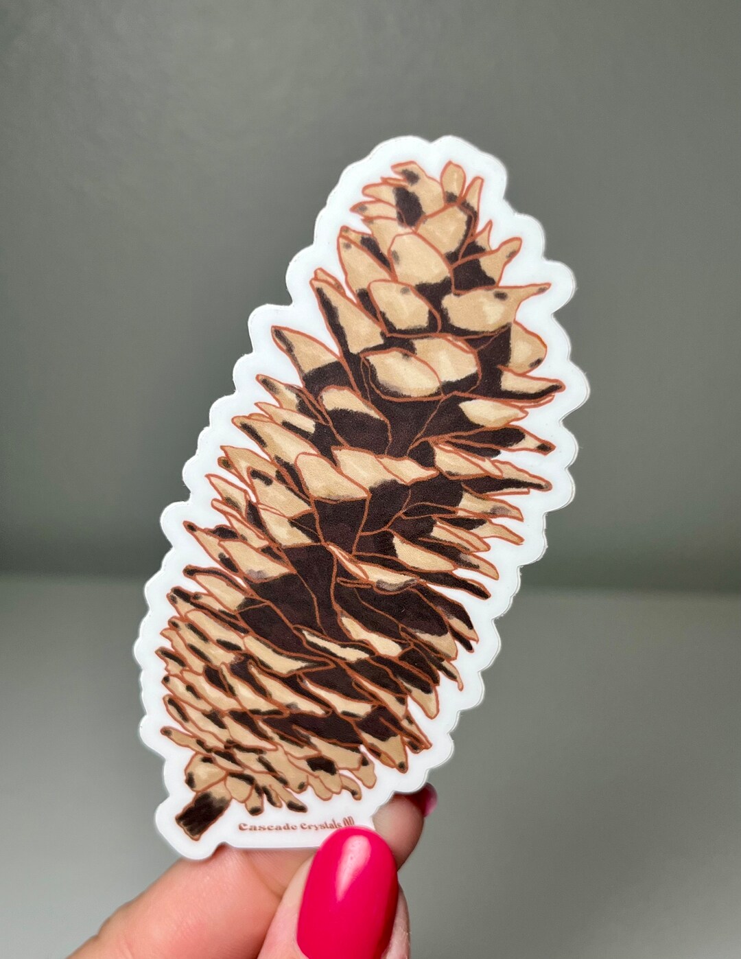 Sugar Pine Cone Sticker * Vinyl Waterproof - Etsy