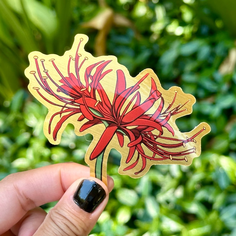 Spider Lily - Etsy
