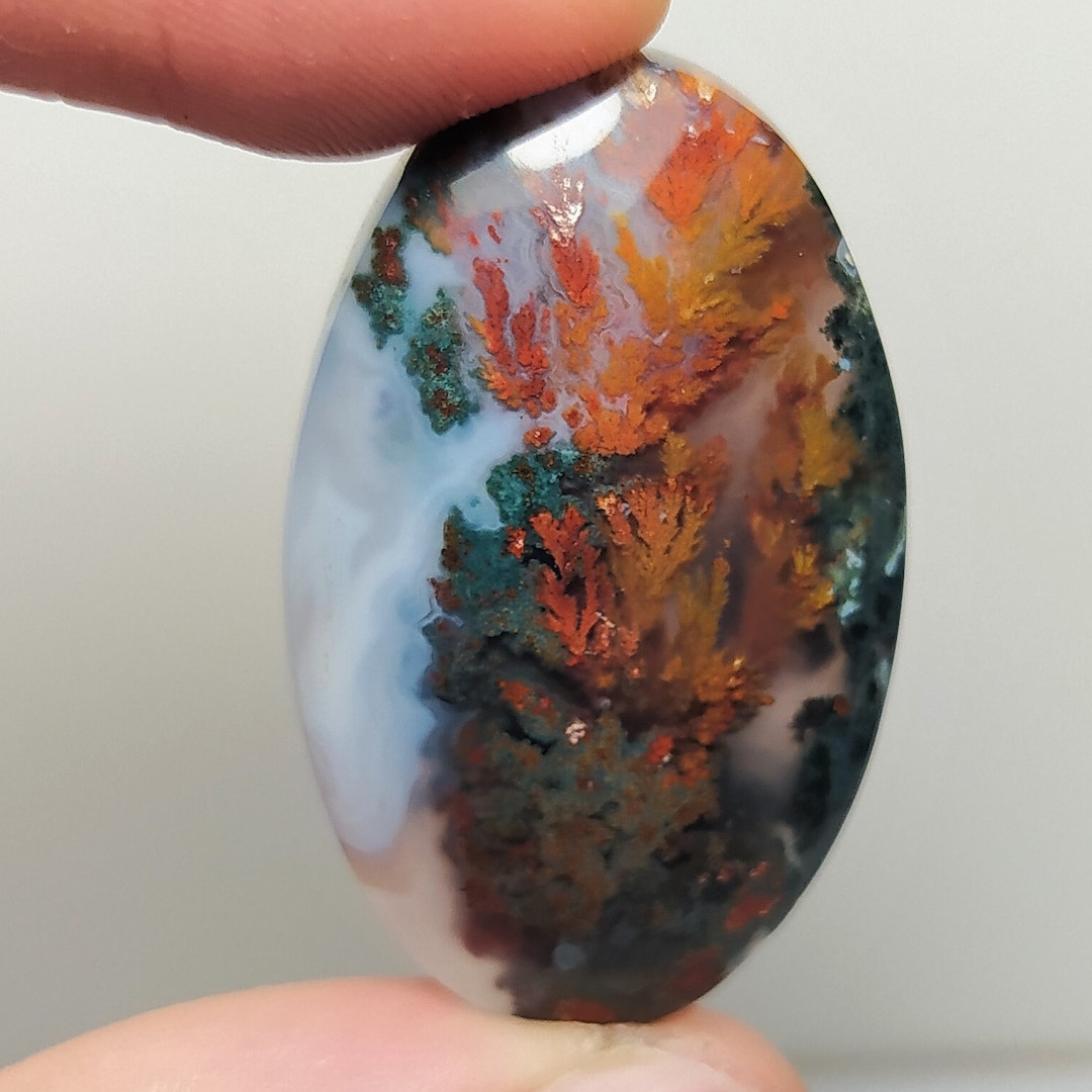 Mesmerizing Rare Natural Plume Agate Oval Cabochon Moss Agate High ...