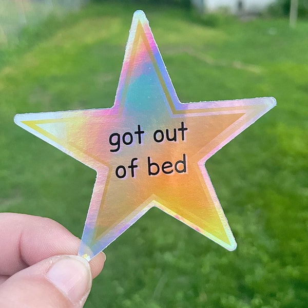 Funny Gold Star Stickers - Etsy