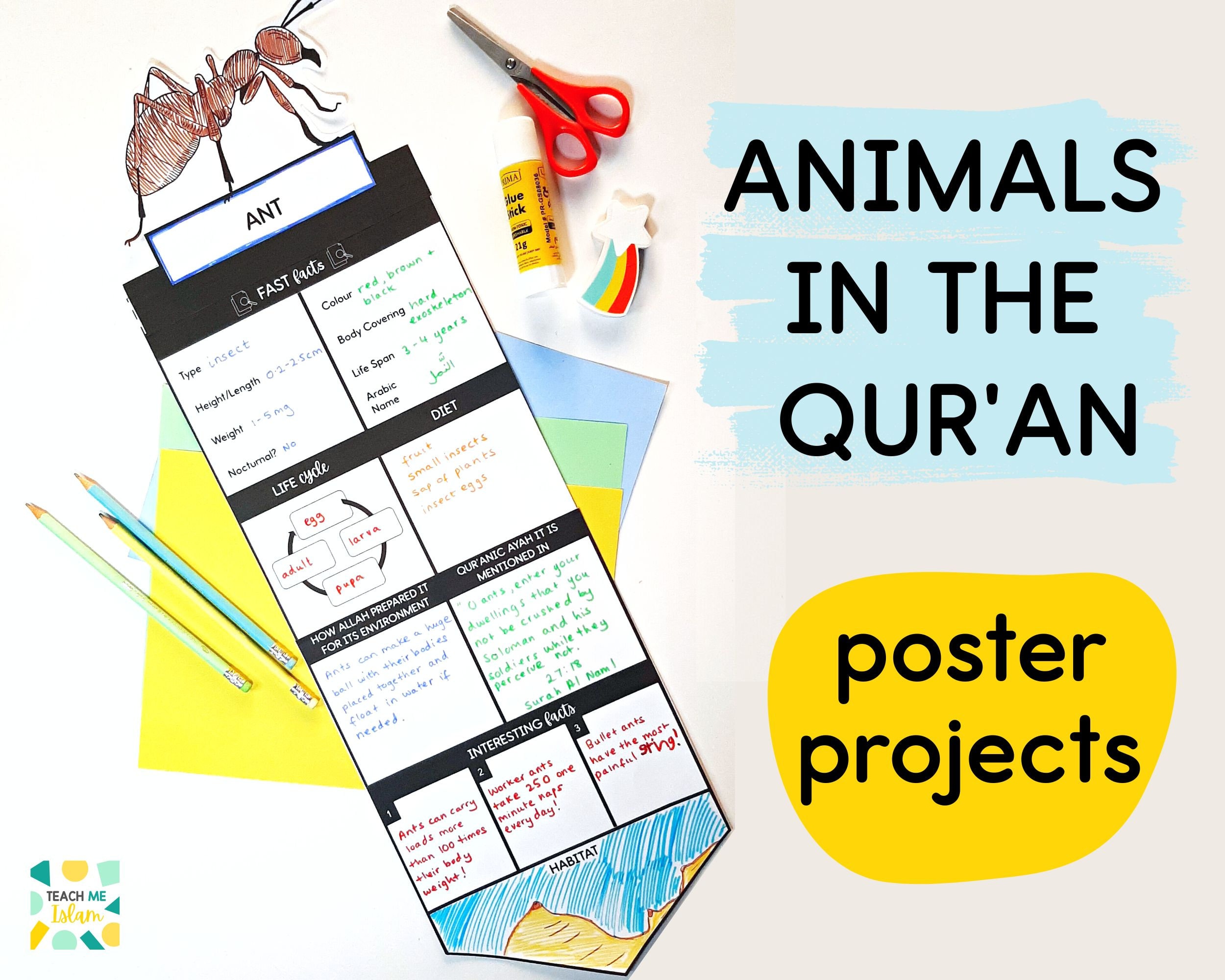 Animals in the Quran Poster Project Set for Muslim Kids - Etsy