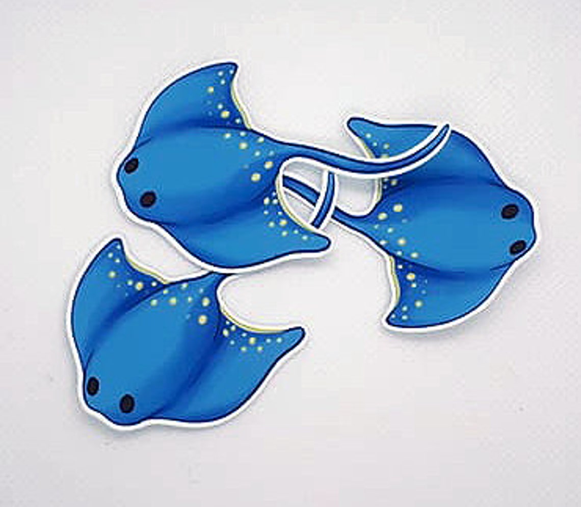 Blue Stingray Sticker Vinyl Waterproof Matte - Etsy UK