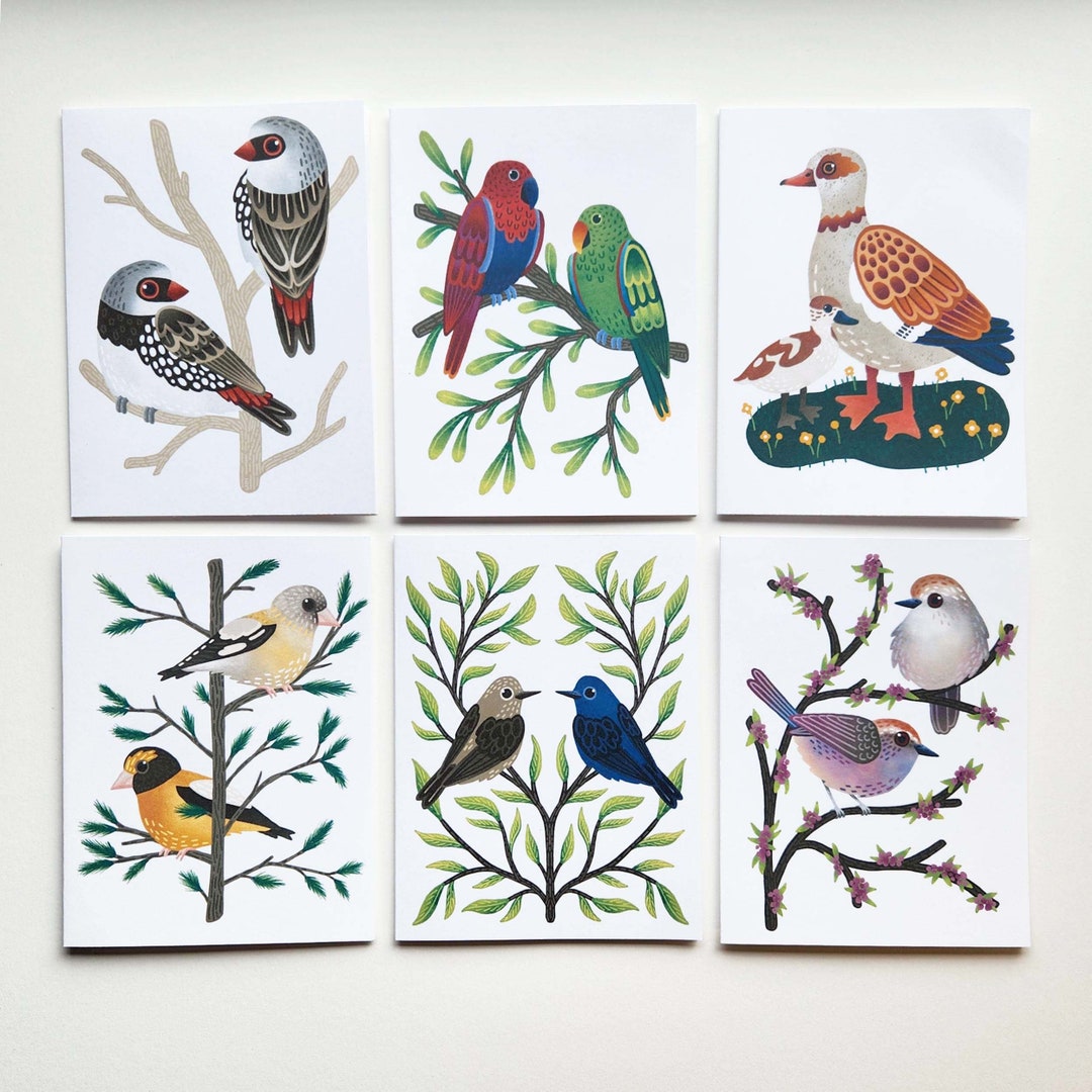 Birbfest Illustrated Bird Card Set: Colorful Bird Art Notecards - Etsy