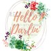 Hello Darlin' Instant Download PNG, Sublimation Design, Succulent ...