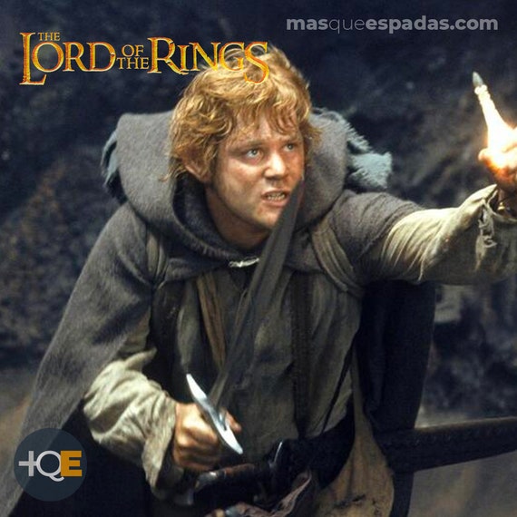 Sam Lord Of The Rings