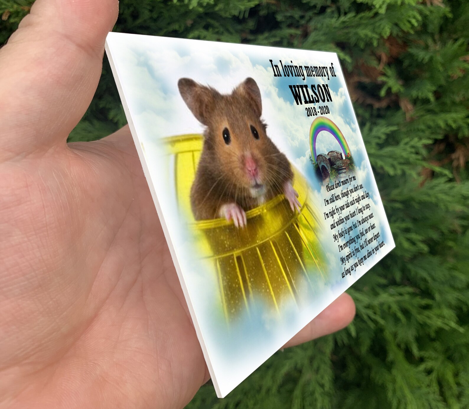 Personalised Pet Hamster Grave Marker, Bench Plaque, Wall Plaque ...