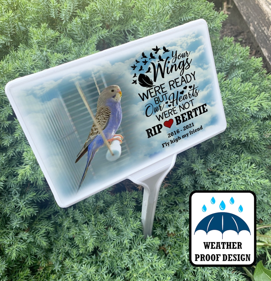 Pet Bird / Parrot / Budgie Grave Marker With Stake, Grave Ornament ...