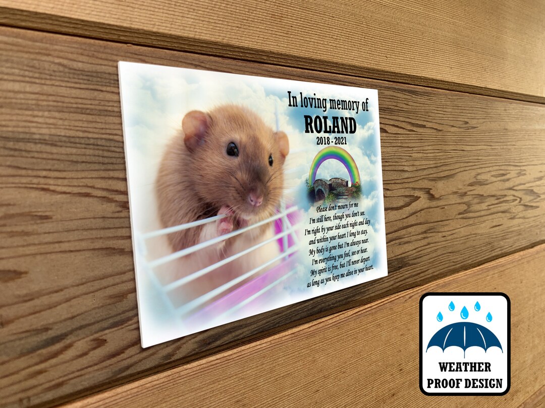 Personalised Pet Rat Grave Marker, Bench Plaque, Wall Plaque, Memorial ...