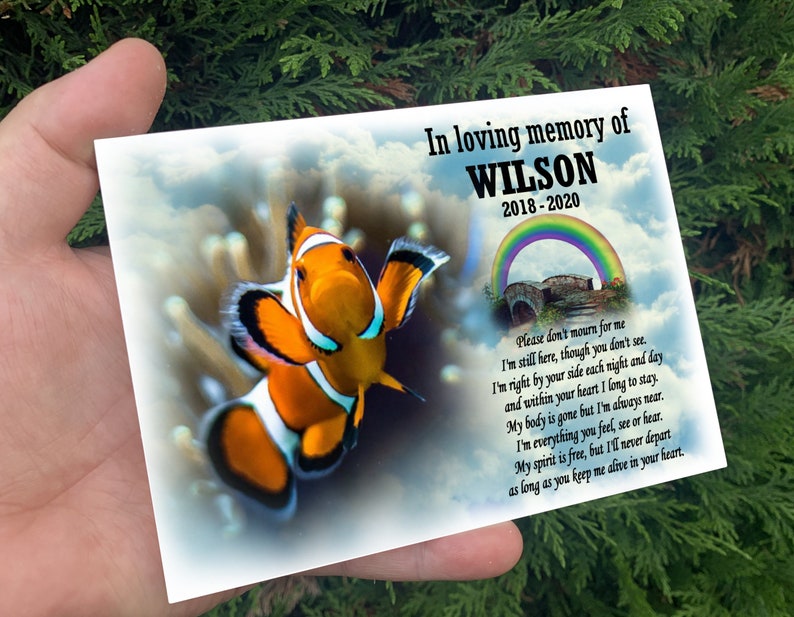 Personalised Pet Fish Grave Marker, Bench Plaque, Wall Plaque, Memorial ...