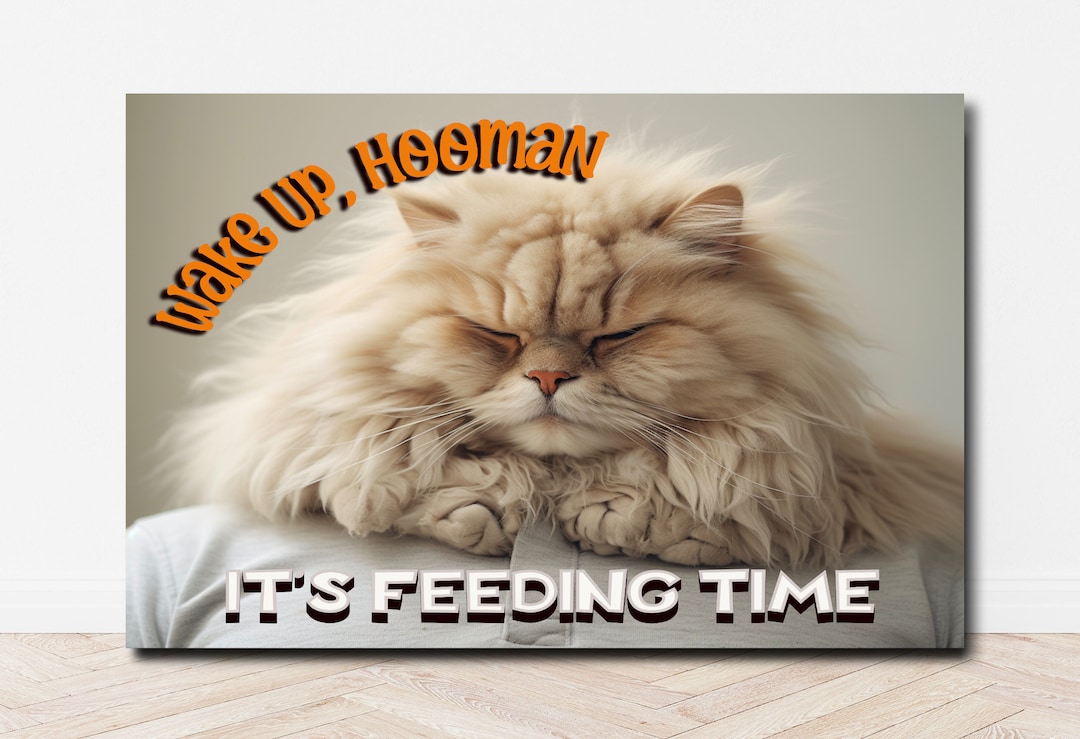 Funny Cat 'wake up Hooman' Aluminum Sign - Sarcastic Pet Meme - Etsy