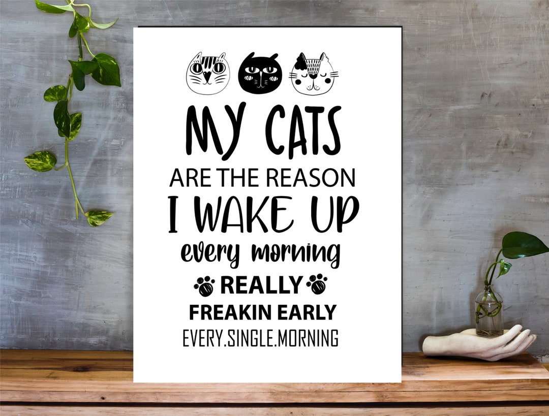 Aluminium Funny Sign With Cat Theme Ideal Gift for Cat Lover, Suitable ...