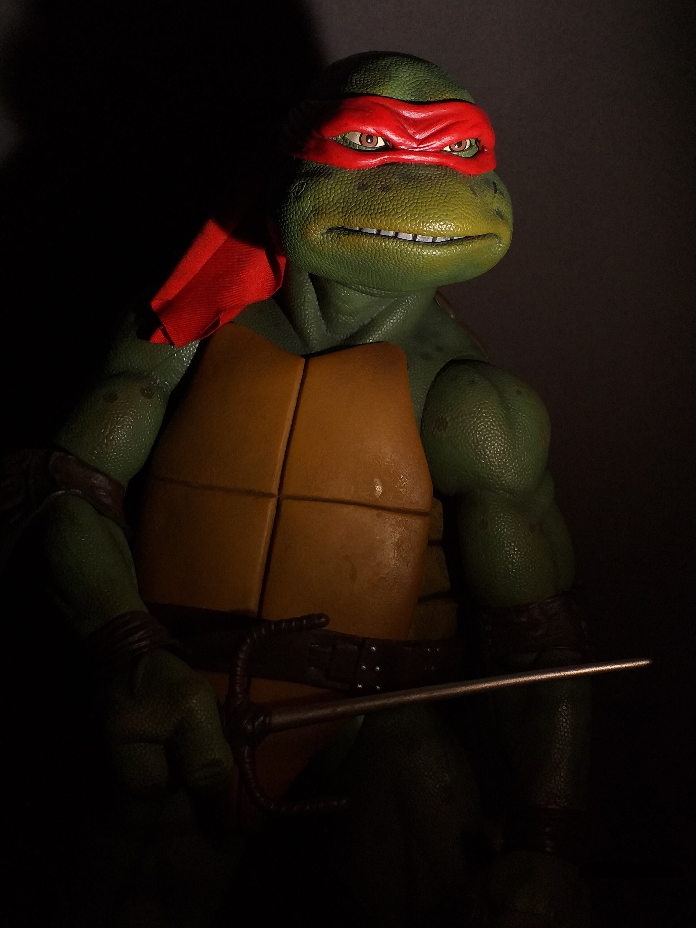 Ninja Turtles TMNT Art Prints Dark Raph paper small | Etsy