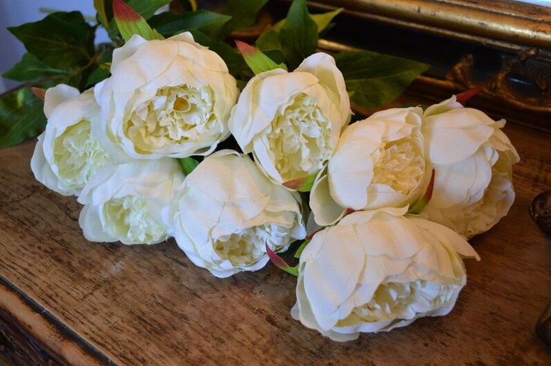Double Large off White Peonies Artificial Luxury Ivory Faux - Etsy