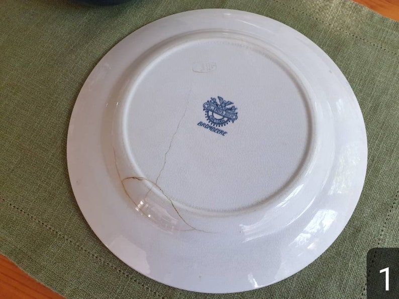 Rarity Villeroy Boch BLACKBERRY, Dinner Plate, Listing 2 - Etsy