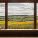 A Cozy Spring Farmhouse Zoom Background for Virtual Meetings, Boho ...