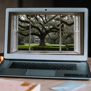 Southern Mossy Oak Manor Zoom Background Virtual Office for Meetings ...