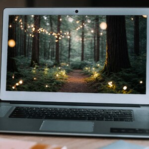 Virtual Background Enchanted Forest for Online Meetings, Fantasy ...