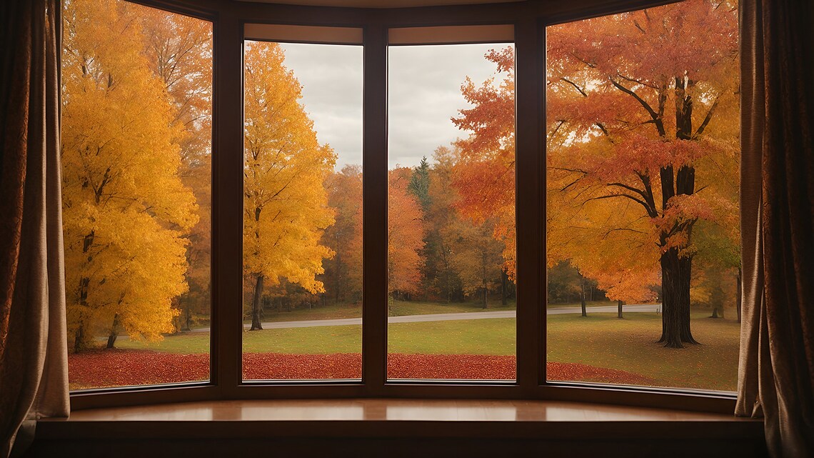 Autumn Virtual Background for Zoom Meetings, Fall Colors Window View ...
