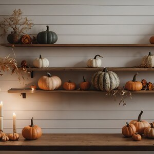 Virtual Background Autumn Bookshelf for Zoom Meeting, Fall Themed Home ...