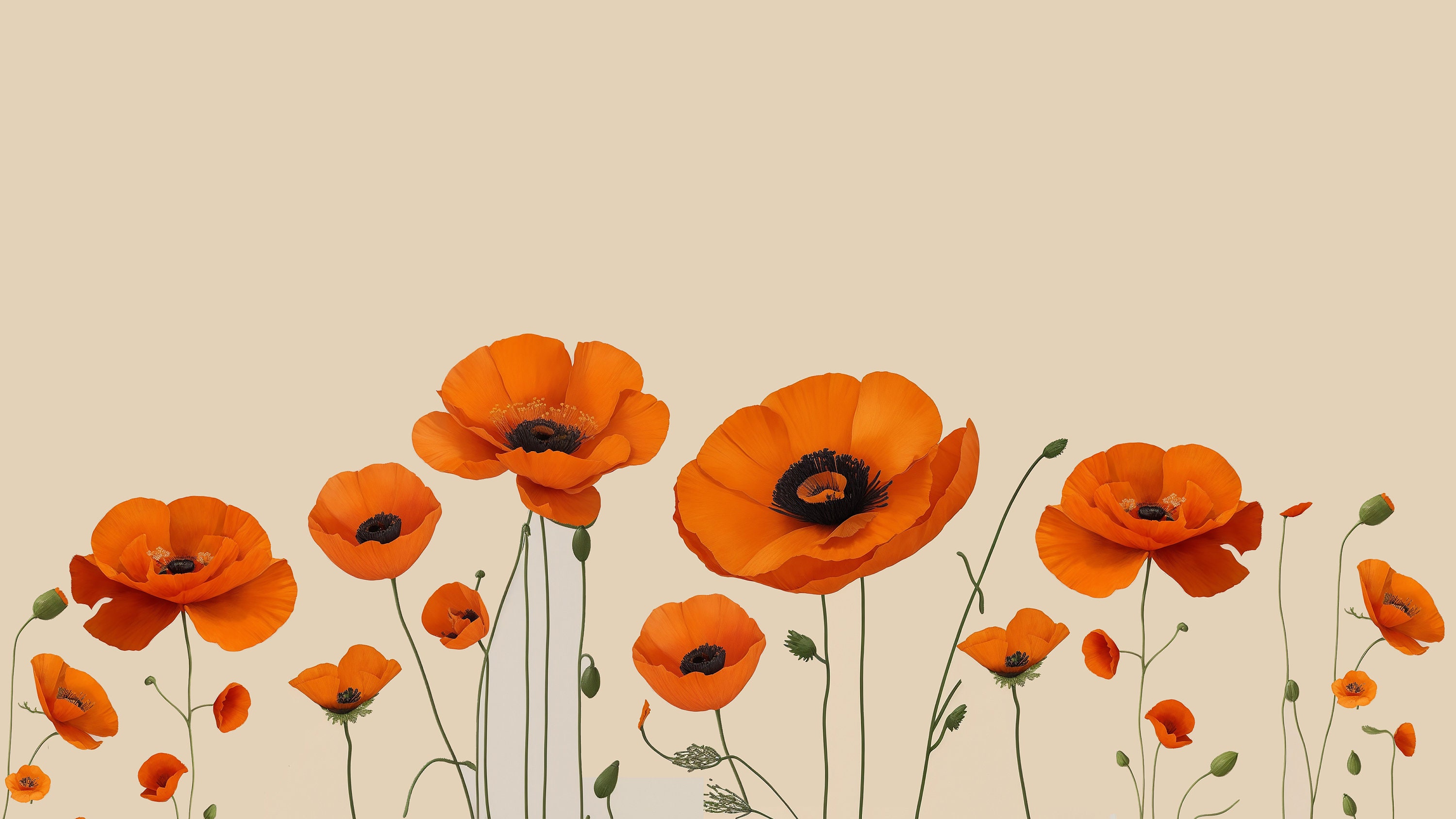 California Poppies Aesthetic Desktop Wallpaper Floral Neutral - Etsy