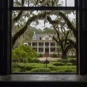 Southern Mossy Oak Manor Zoom Background Virtual Office for Meetings ...
