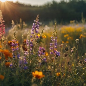 Virtual Background Spring Wildflowers for Zoom, Natural Calming ...