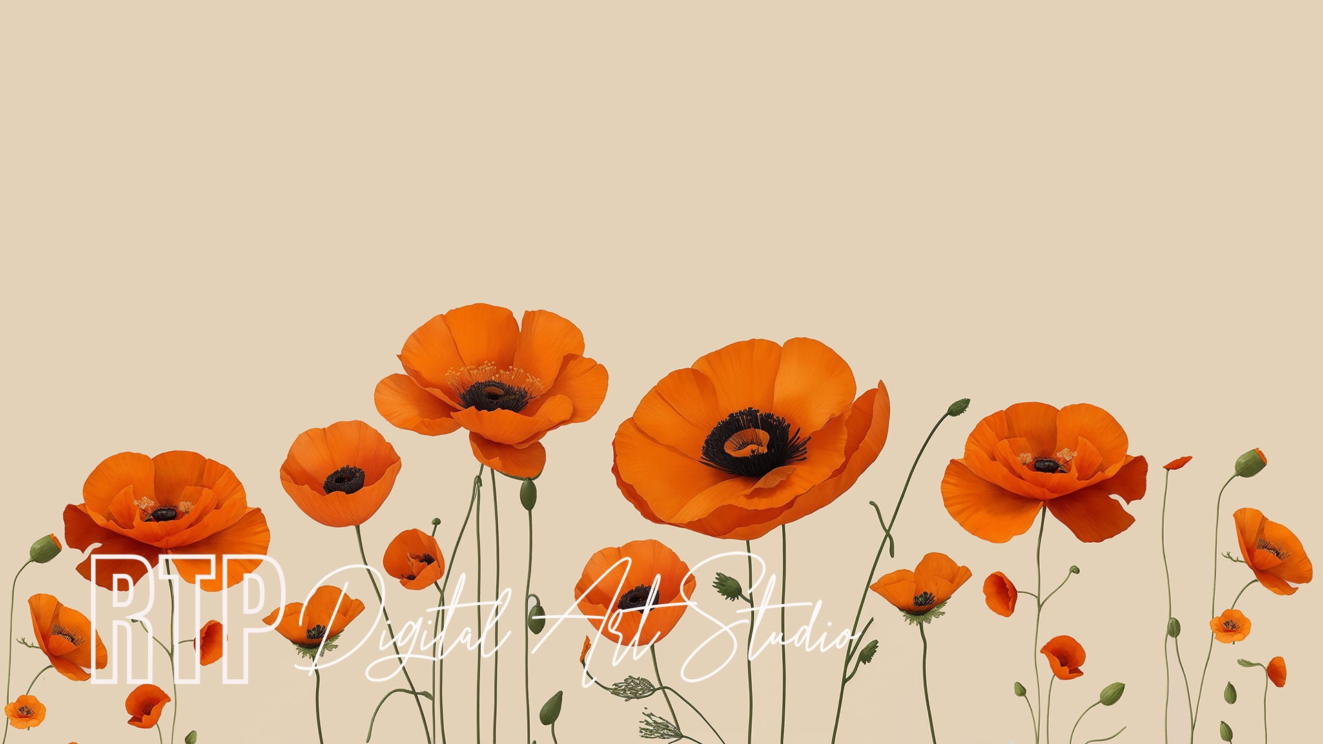 California Poppies Aesthetic Desktop Wallpaper Floral Neutral ...