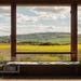 Spring Wildflowers Window Virtual Zoom Background , MS Teams, Webex ...