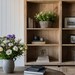 Virtual Background Spring Bookshelf for Zoom Meetings, Home Office ...