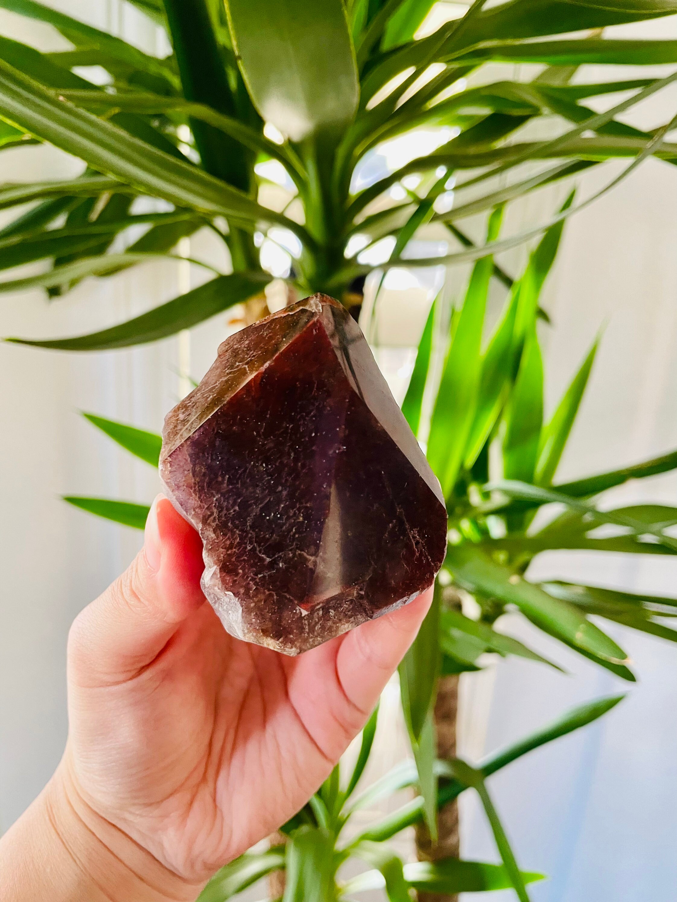 Auralite 23 Red Cap Amethyst Crystal Point 284g | Etsy