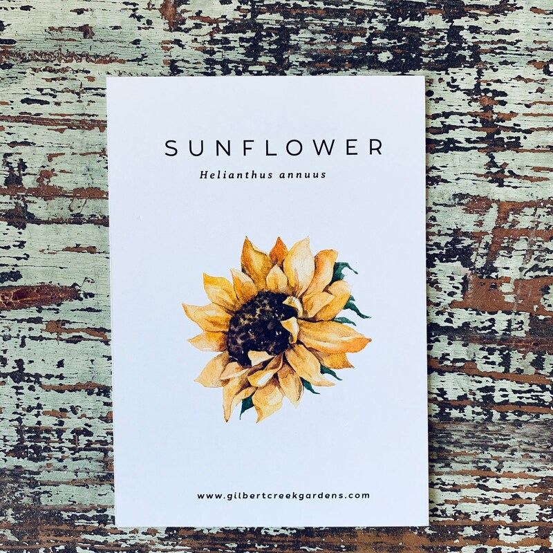 Sunflower Packets - Etsy